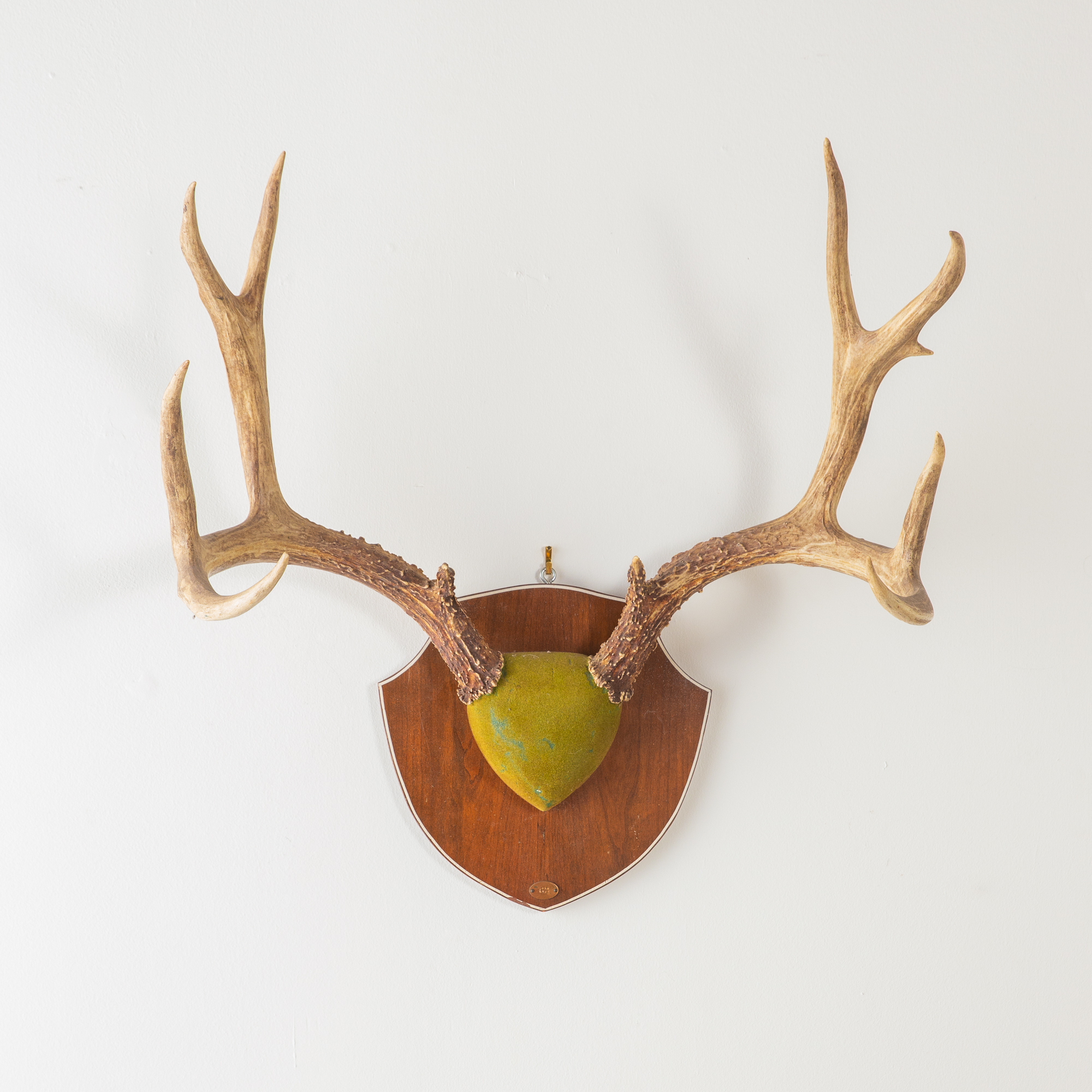 Event Prop Rentals in Texas | Loot Rentals